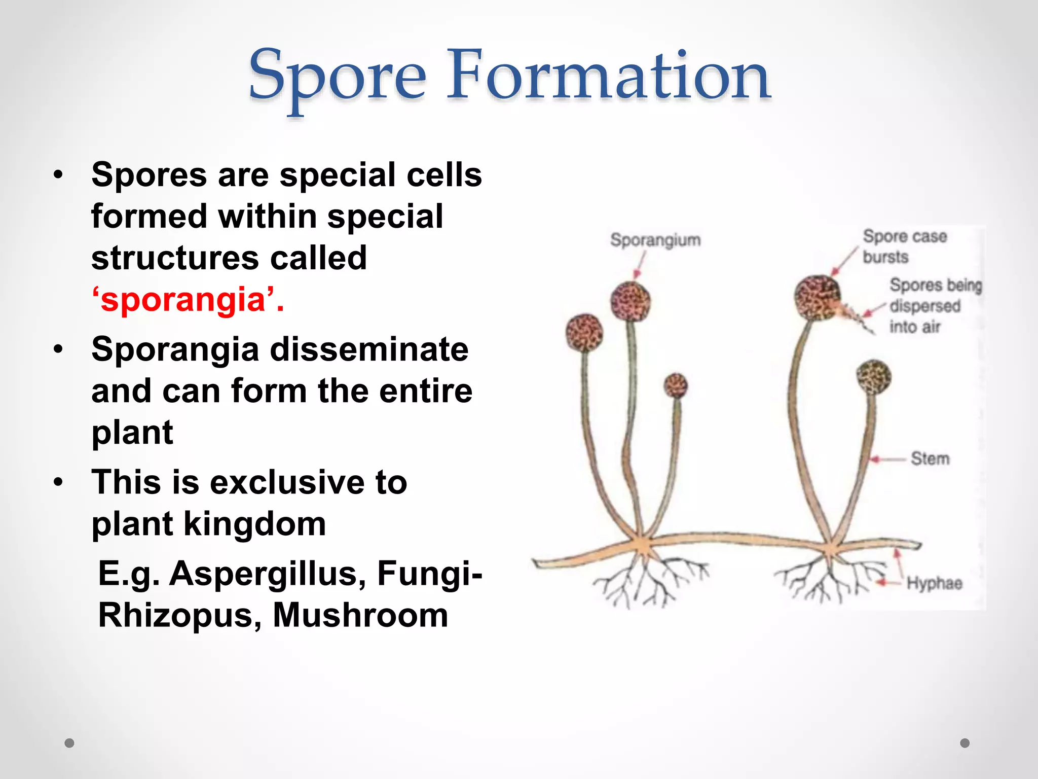 How do organisms reproduce | PPTX