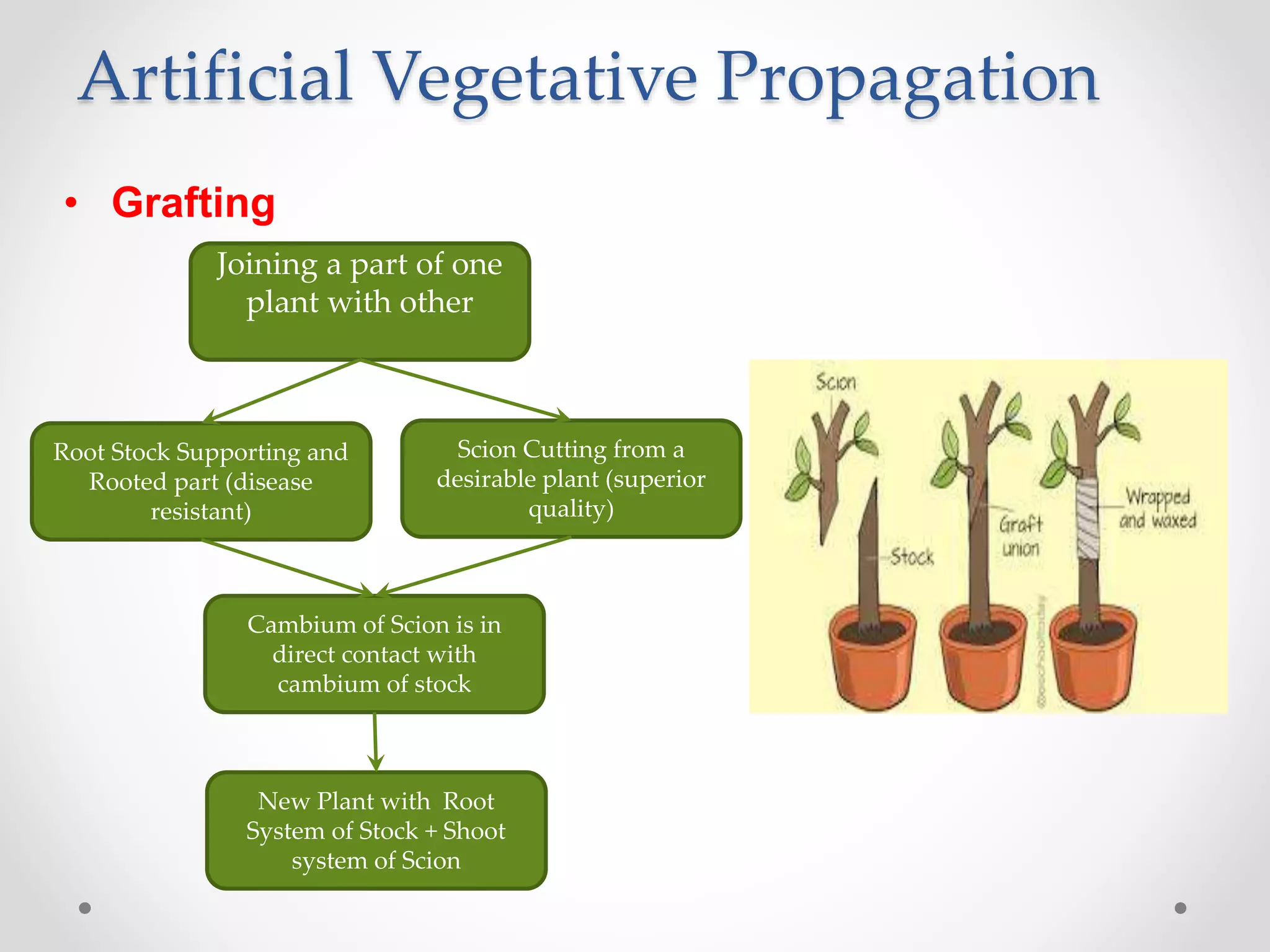 How do organisms reproduce | PPTX