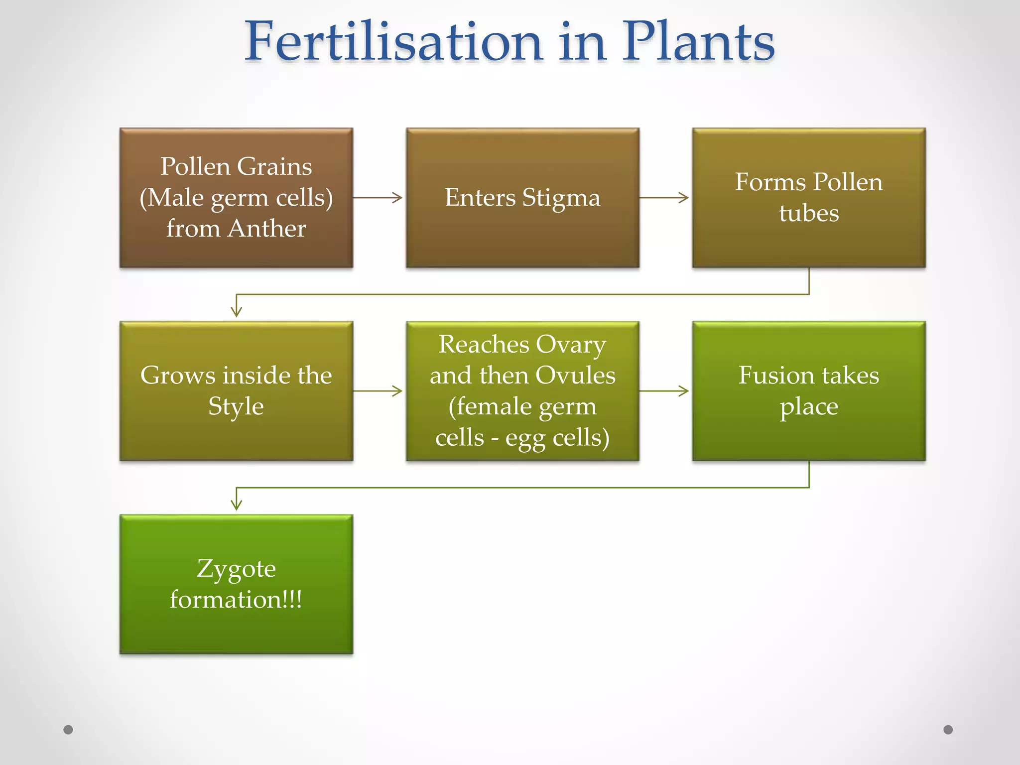How do organisms reproduce | PPTX