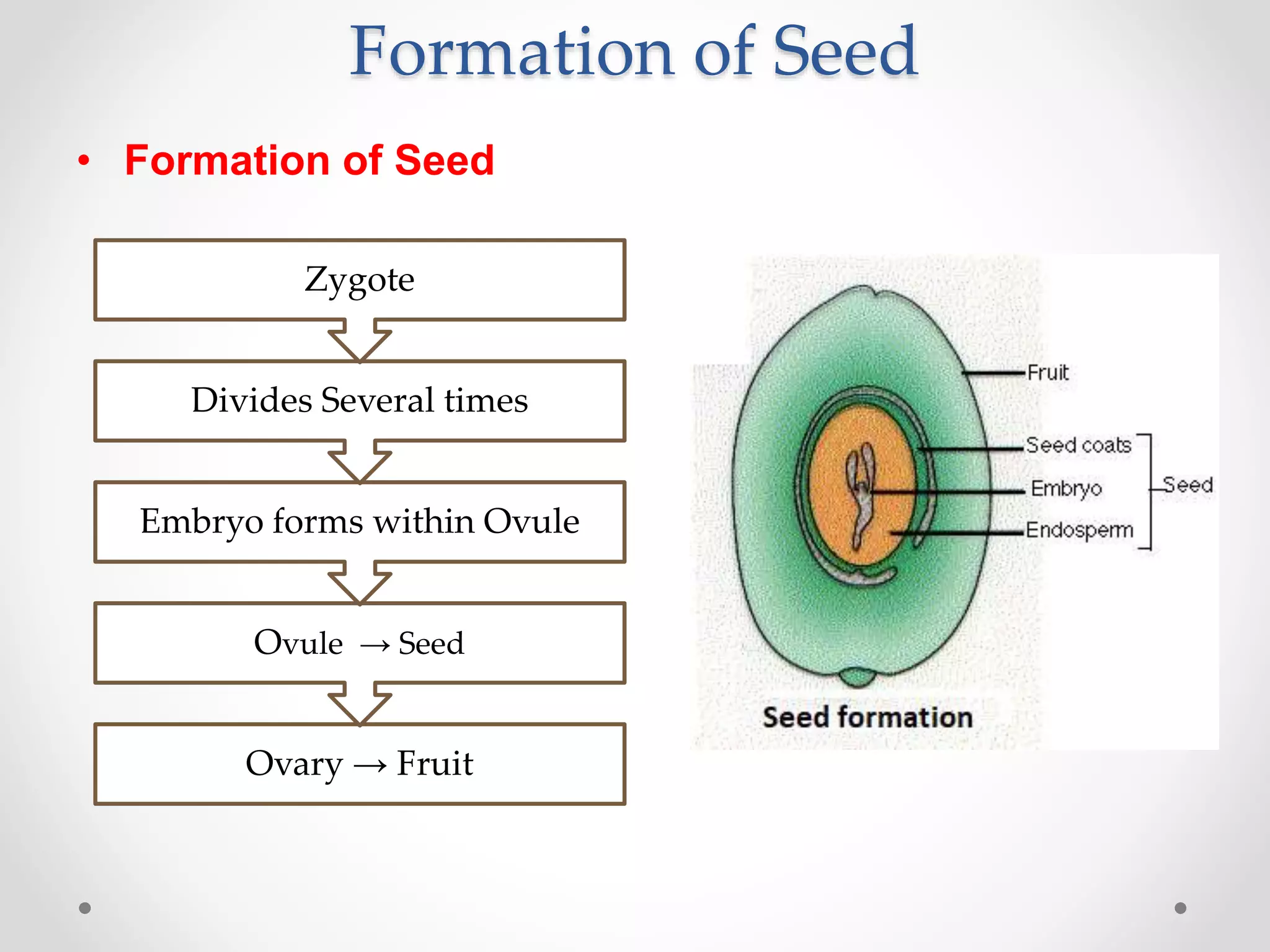 How do organisms reproduce | PPTX