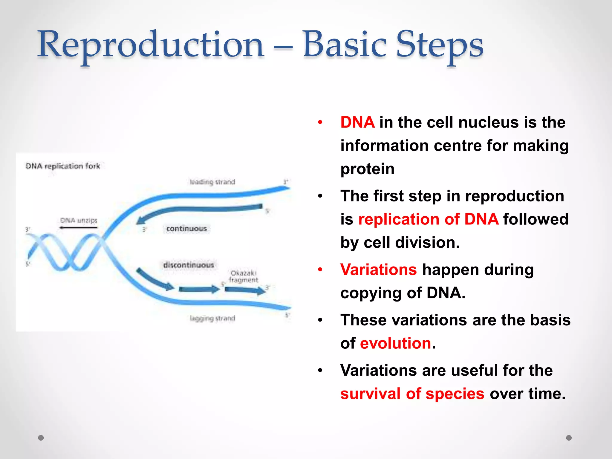 How do organisms reproduce | PPTX