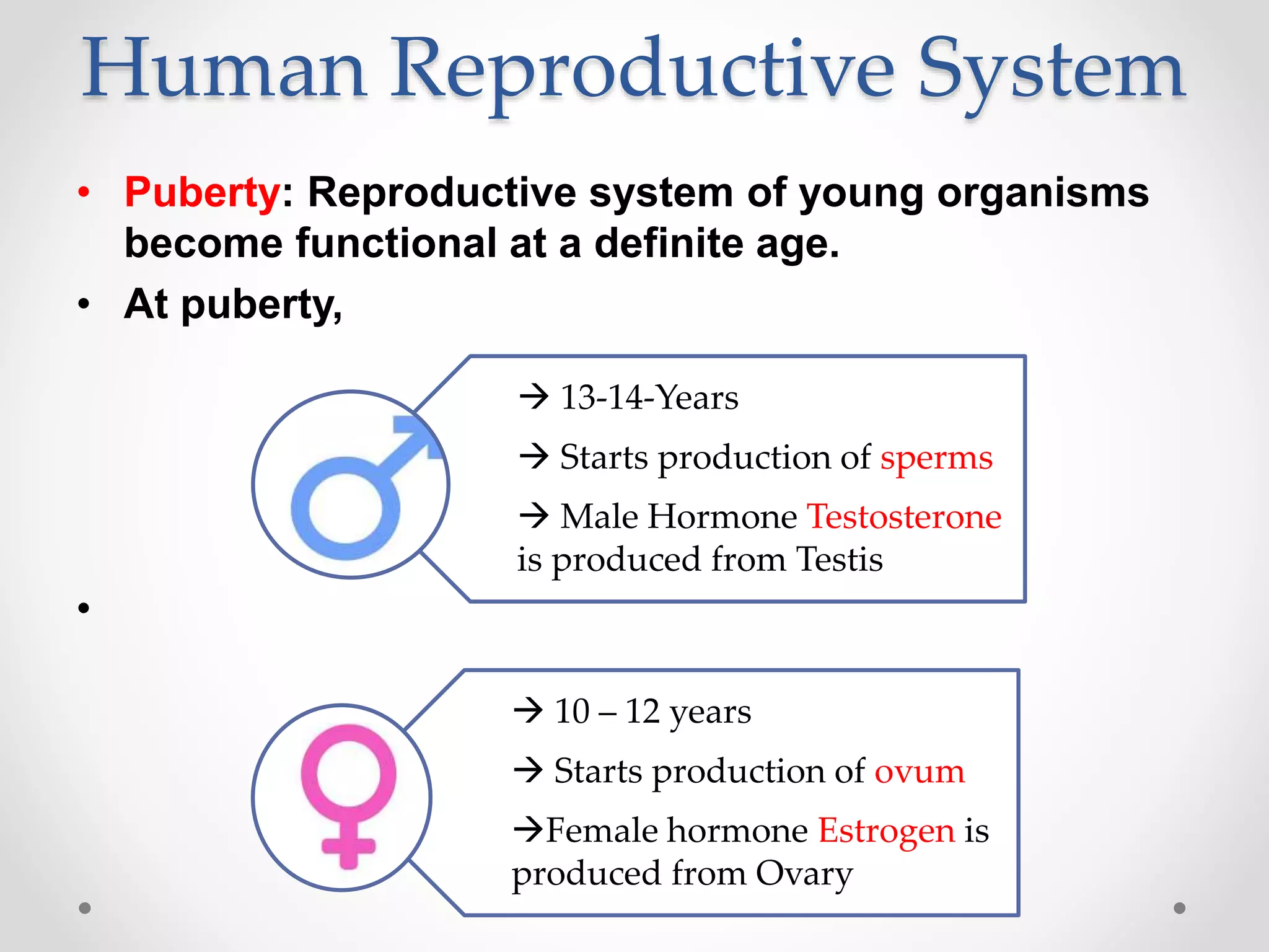 How do organisms reproduce | PPTX