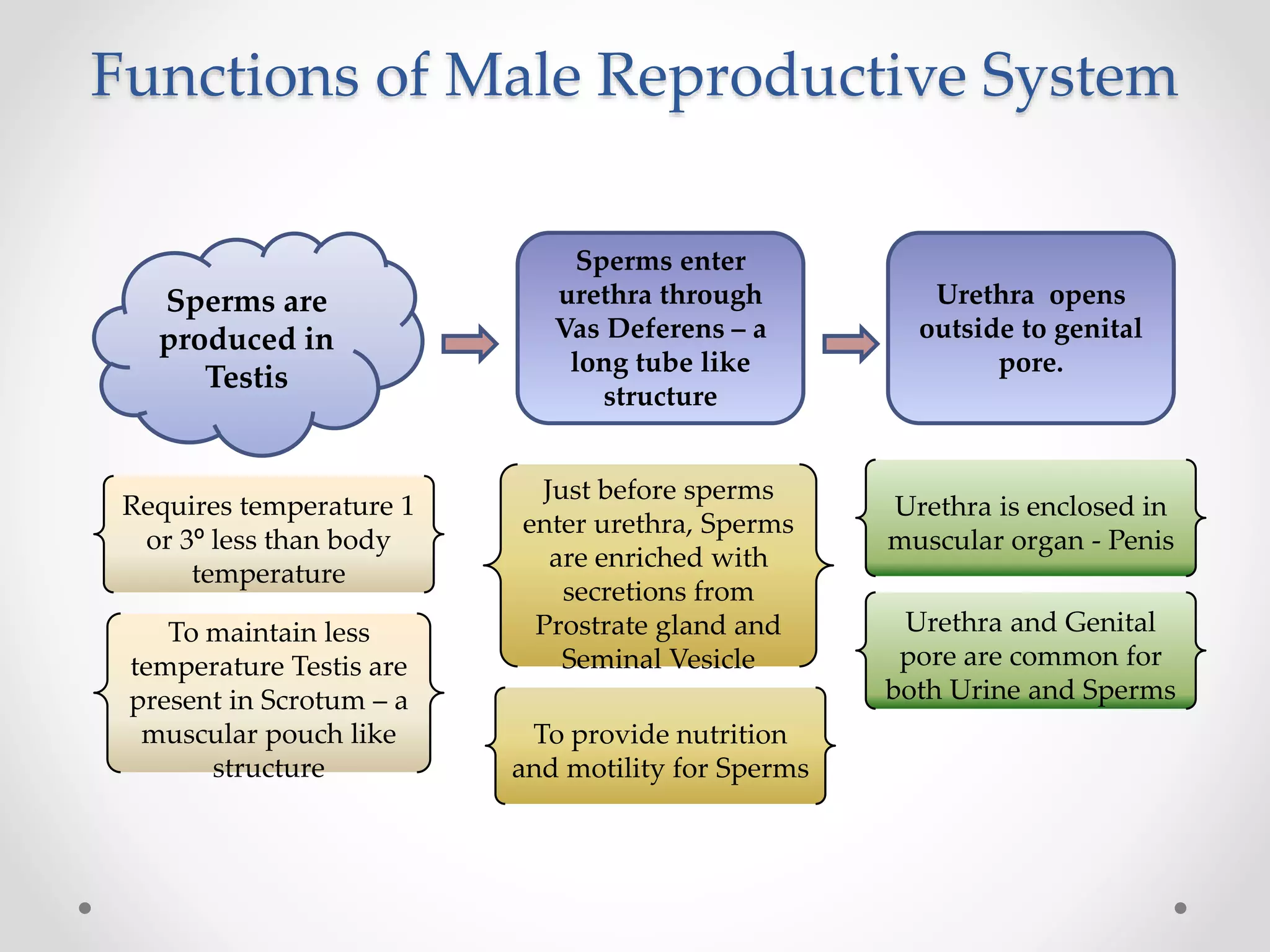 How do organisms reproduce | PPTX