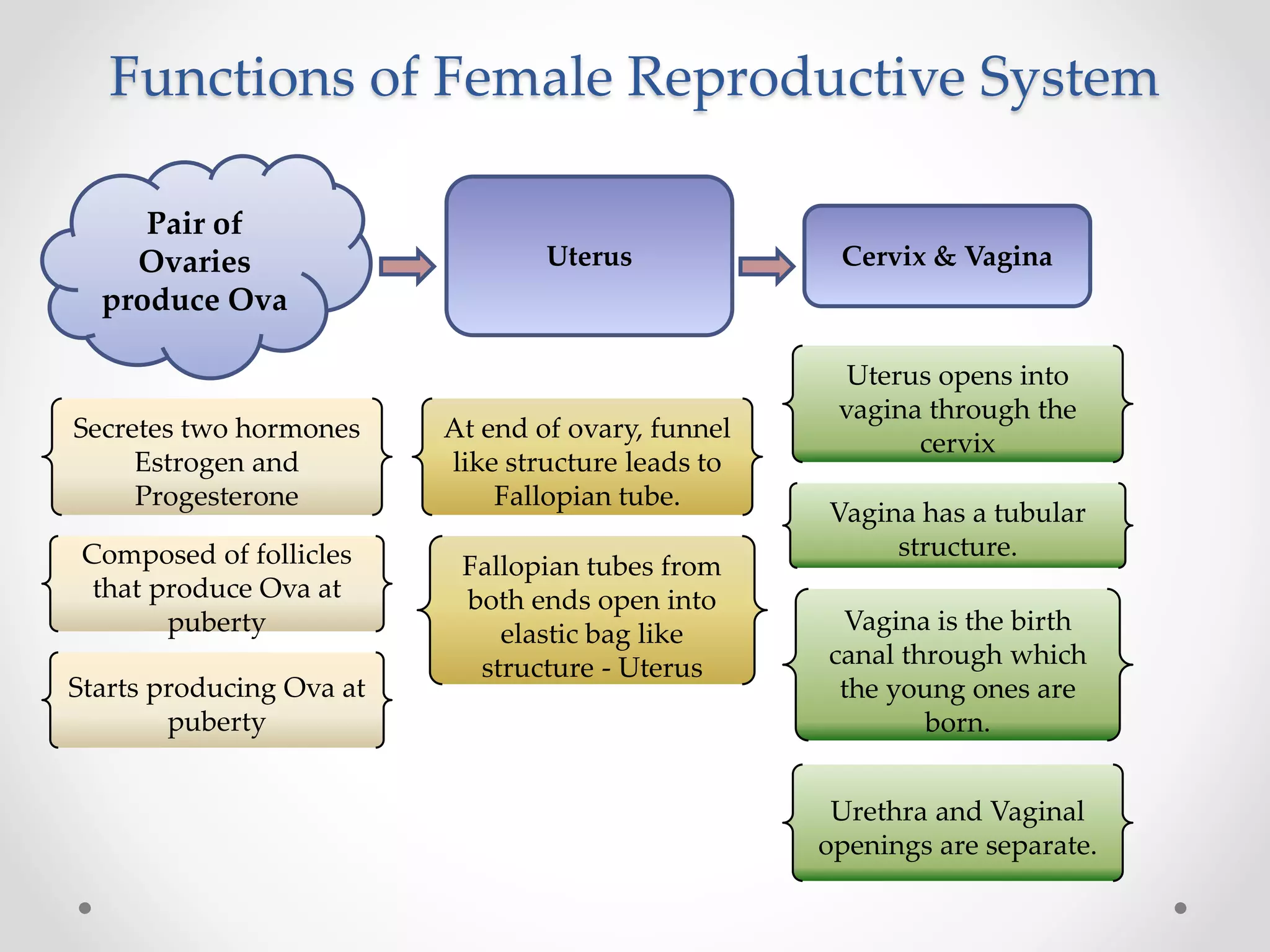 How do organisms reproduce | PPTX