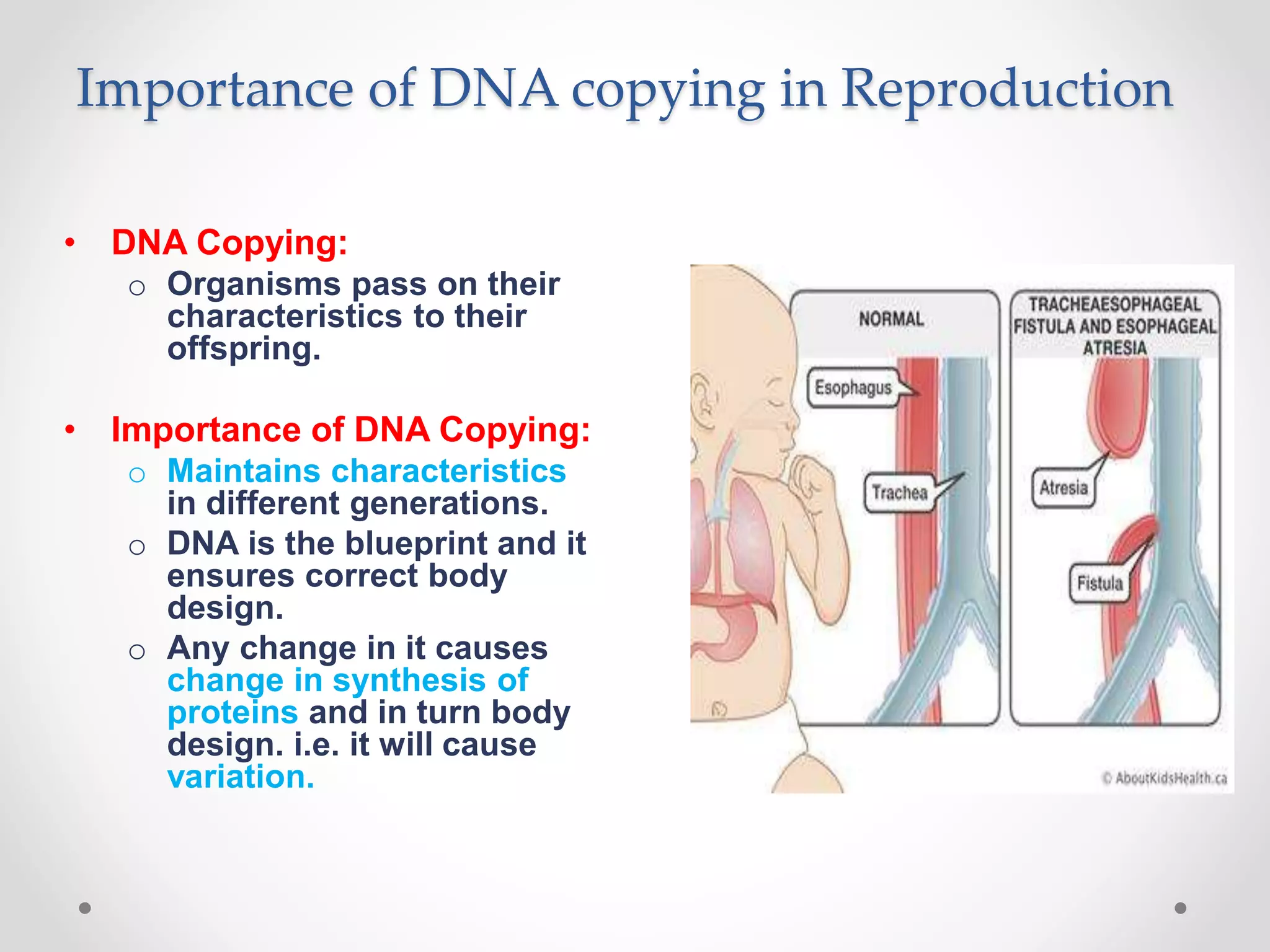 How do organisms reproduce | PPTX