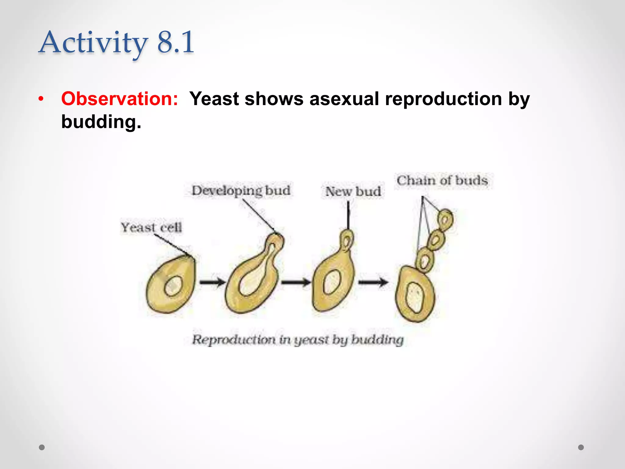 How do organisms reproduce | PPTX