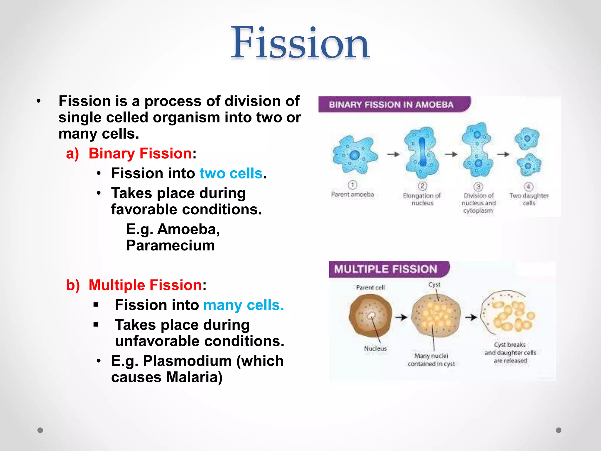 How do organisms reproduce | PPTX
