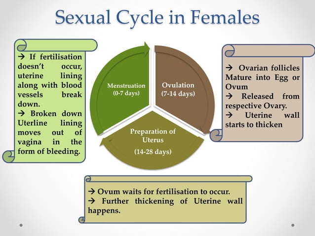 How do organisms reproduce | PPTX | Infertility | Reproductive Health