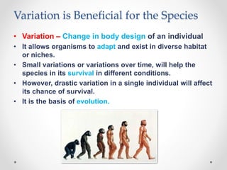 How do organisms reproduce | PPTX