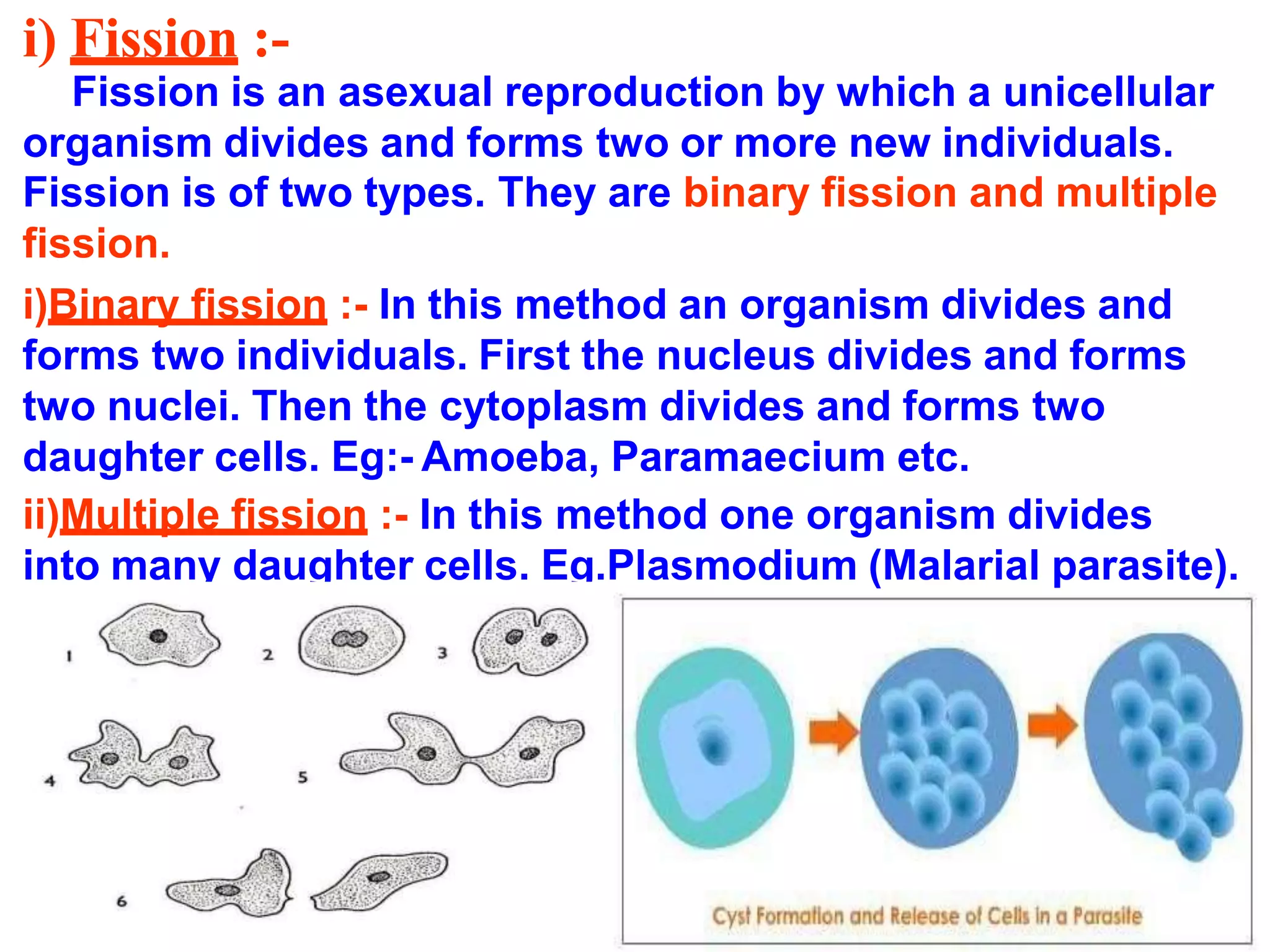 HOW DO ORGANISMS REPRODUCE.ppt.pptx