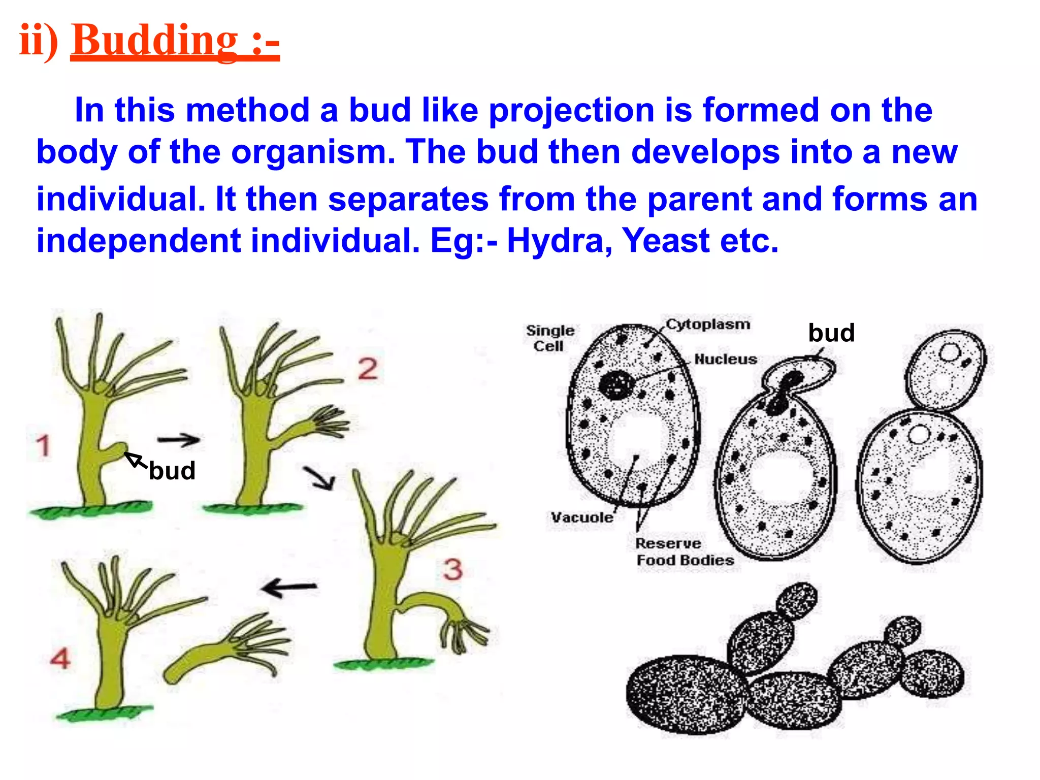 HOW DO ORGANISMS REPRODUCE.ppt.pptx