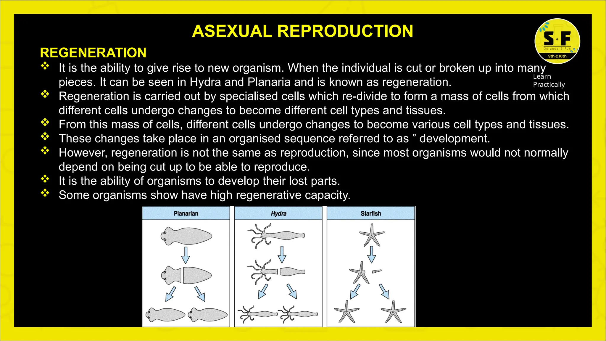 How do organisms reproduce by saloni (1).pptx