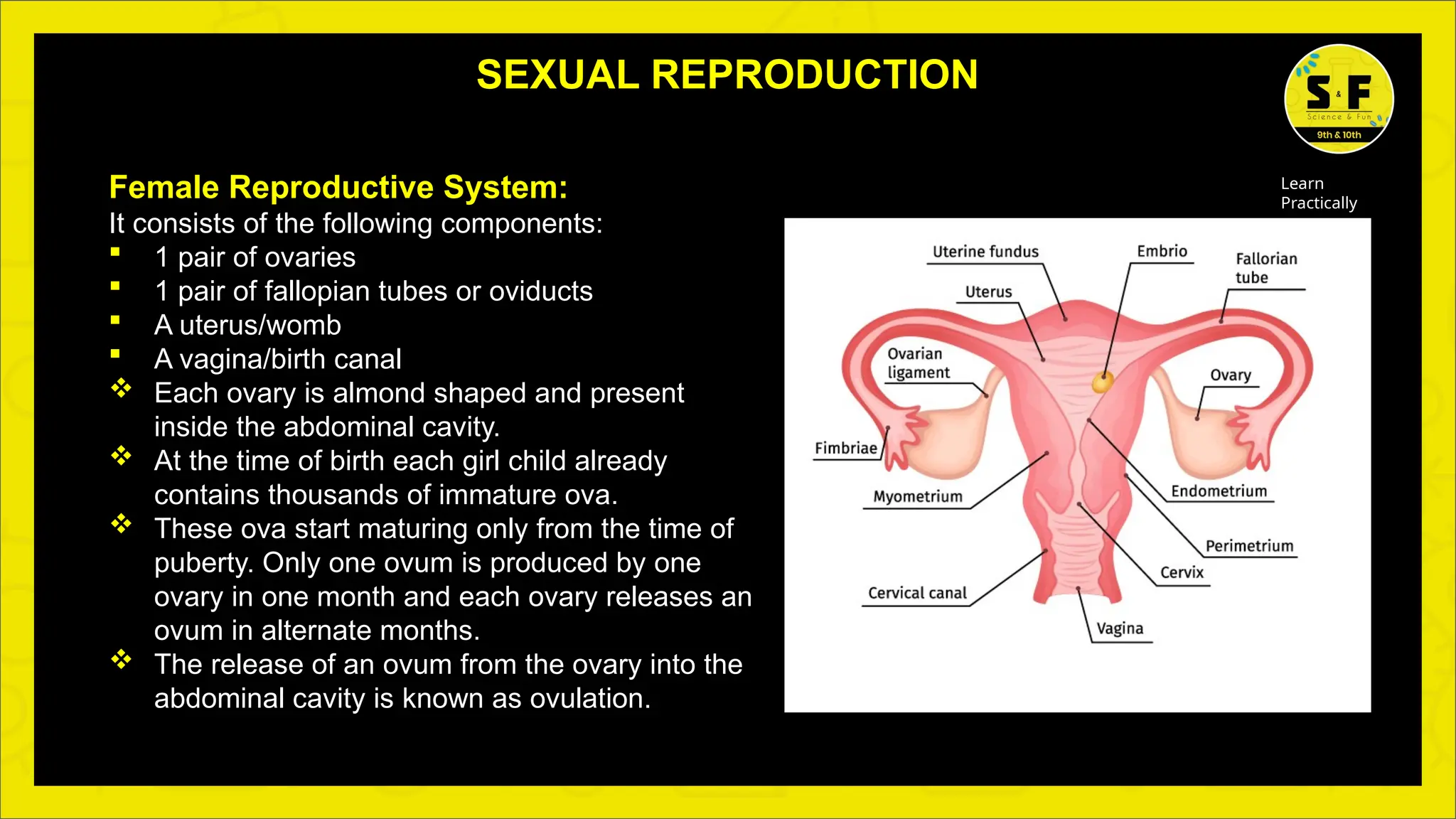 How do organisms reproduce by saloni (1).pptx