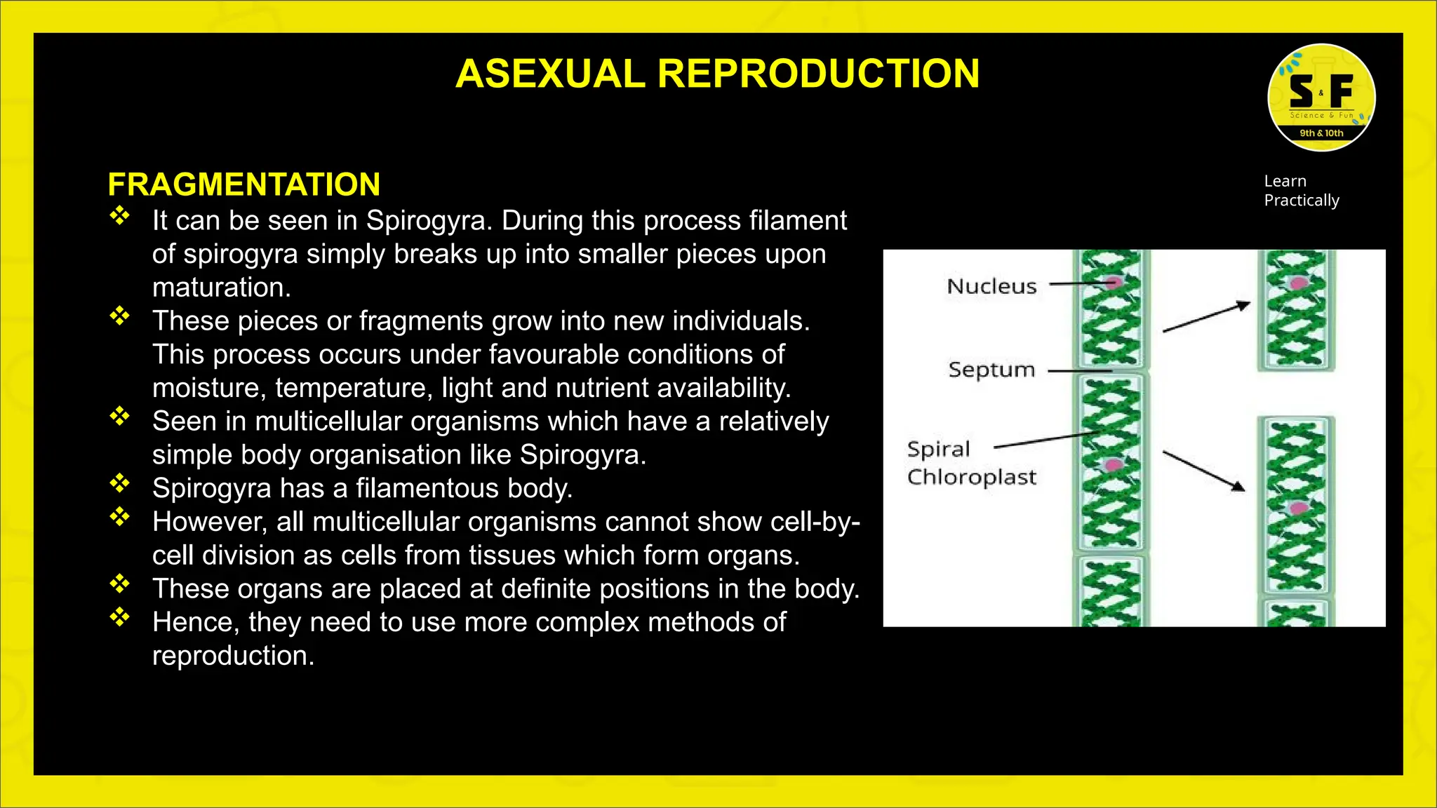 How do organisms reproduce by saloni (1).pptx