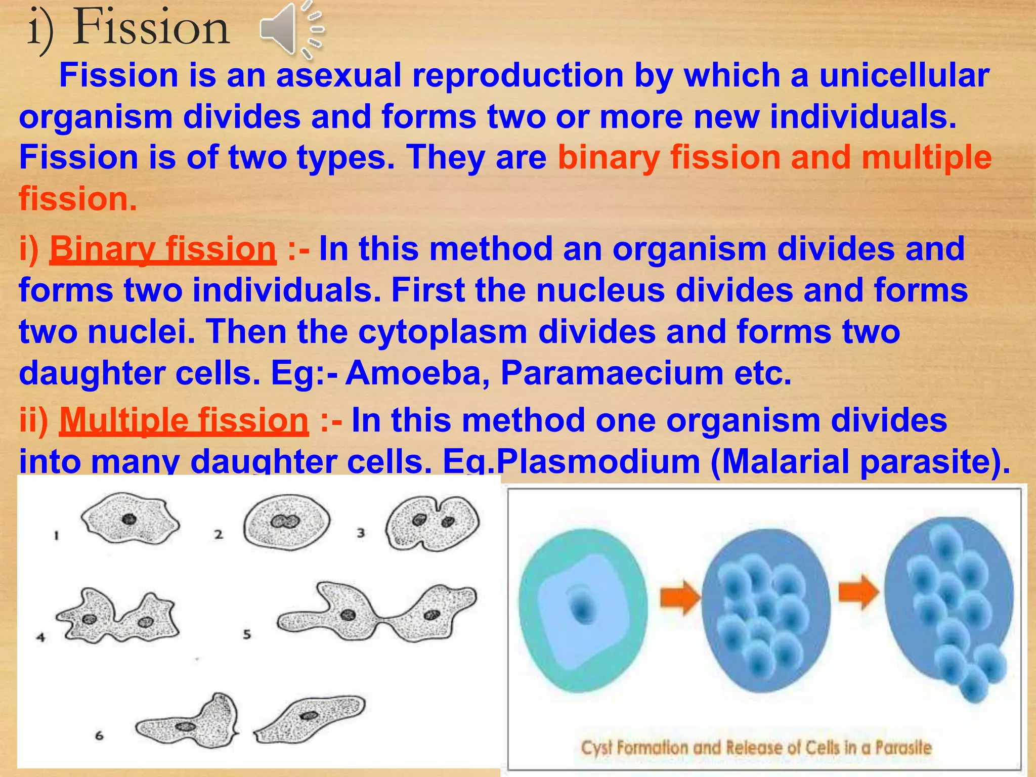 HOW DO ORGANISMS REPRODUCE CH-8 ,class-10.pptx