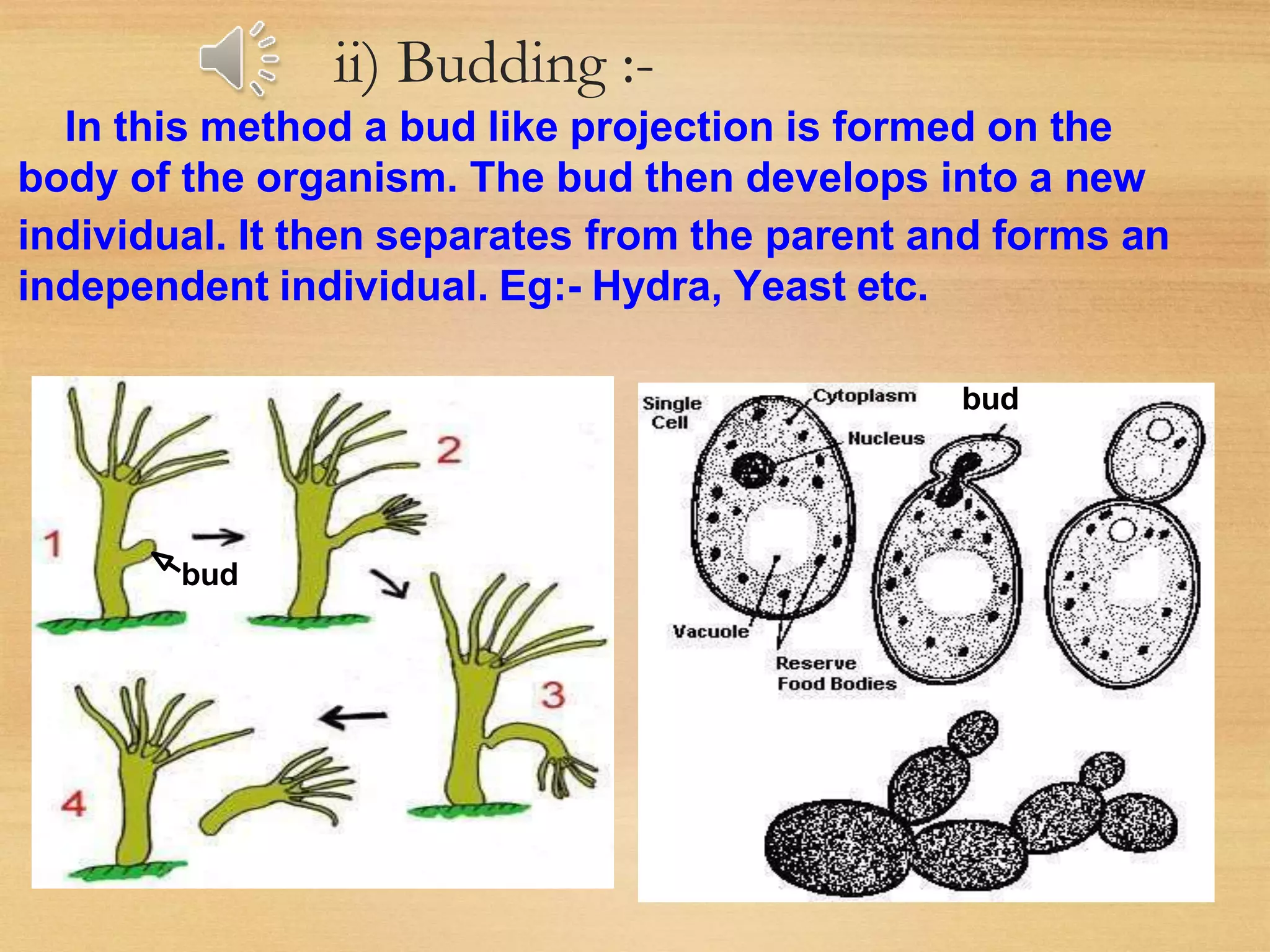 HOW DO ORGANISMS REPRODUCE CH-8 ,class-10.pptx