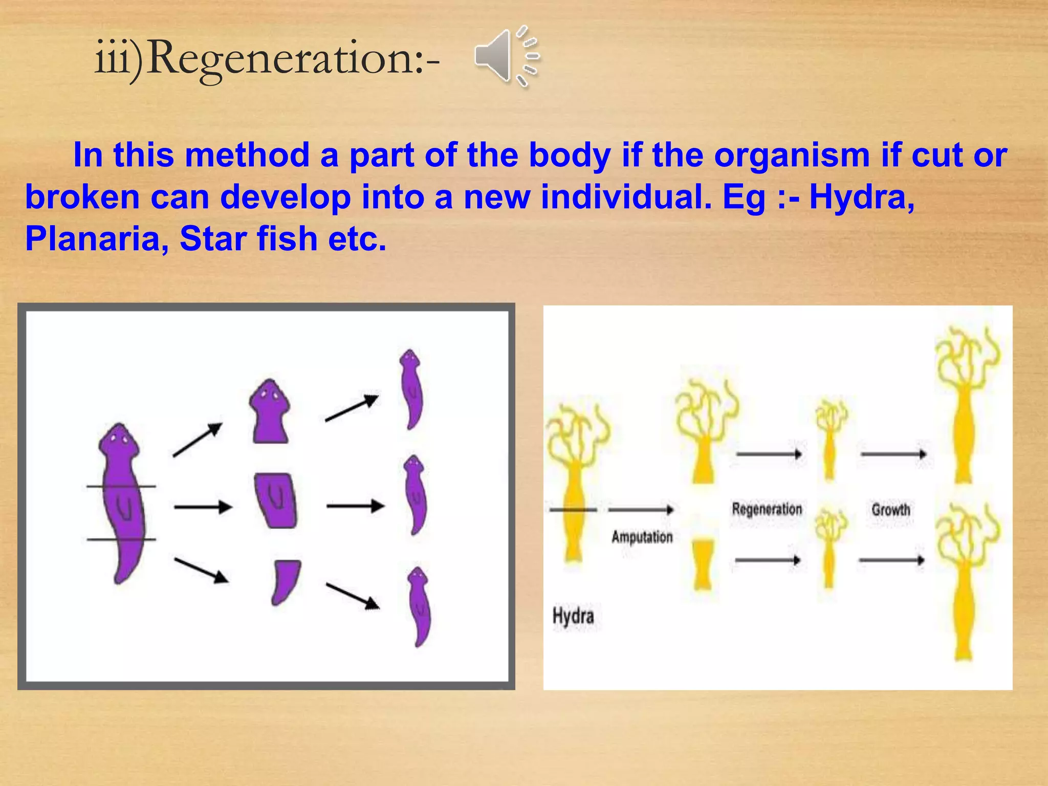 HOW DO ORGANISMS REPRODUCE CH-8 ,class-10.pptx
