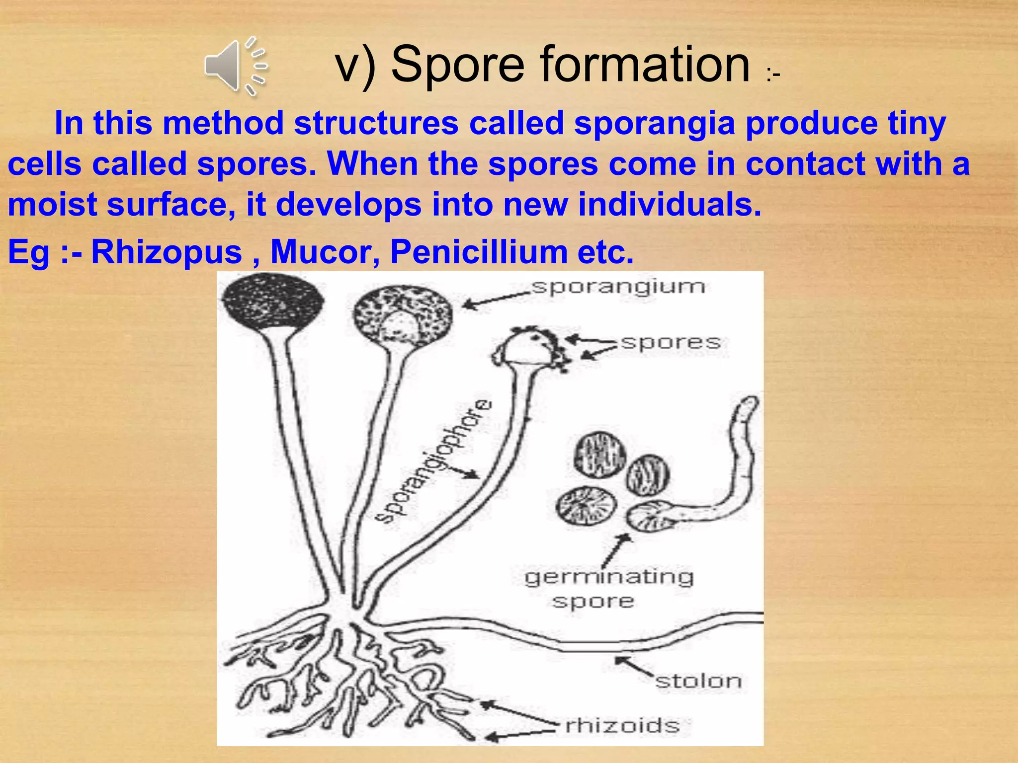 HOW DO ORGANISMS REPRODUCE CH-8 ,class-10.pptx