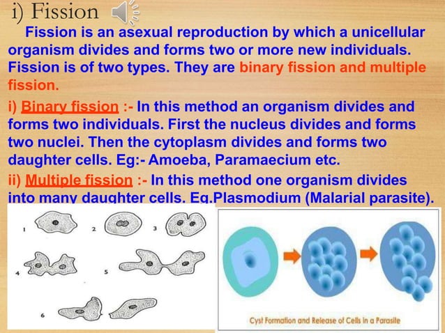 HOW DO ORGANISMS REPRODUCE CH-8 ,class-10.pptx | Infertility ...