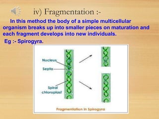 HOW DO ORGANISMS REPRODUCE CH-8 ,class-10.pptx