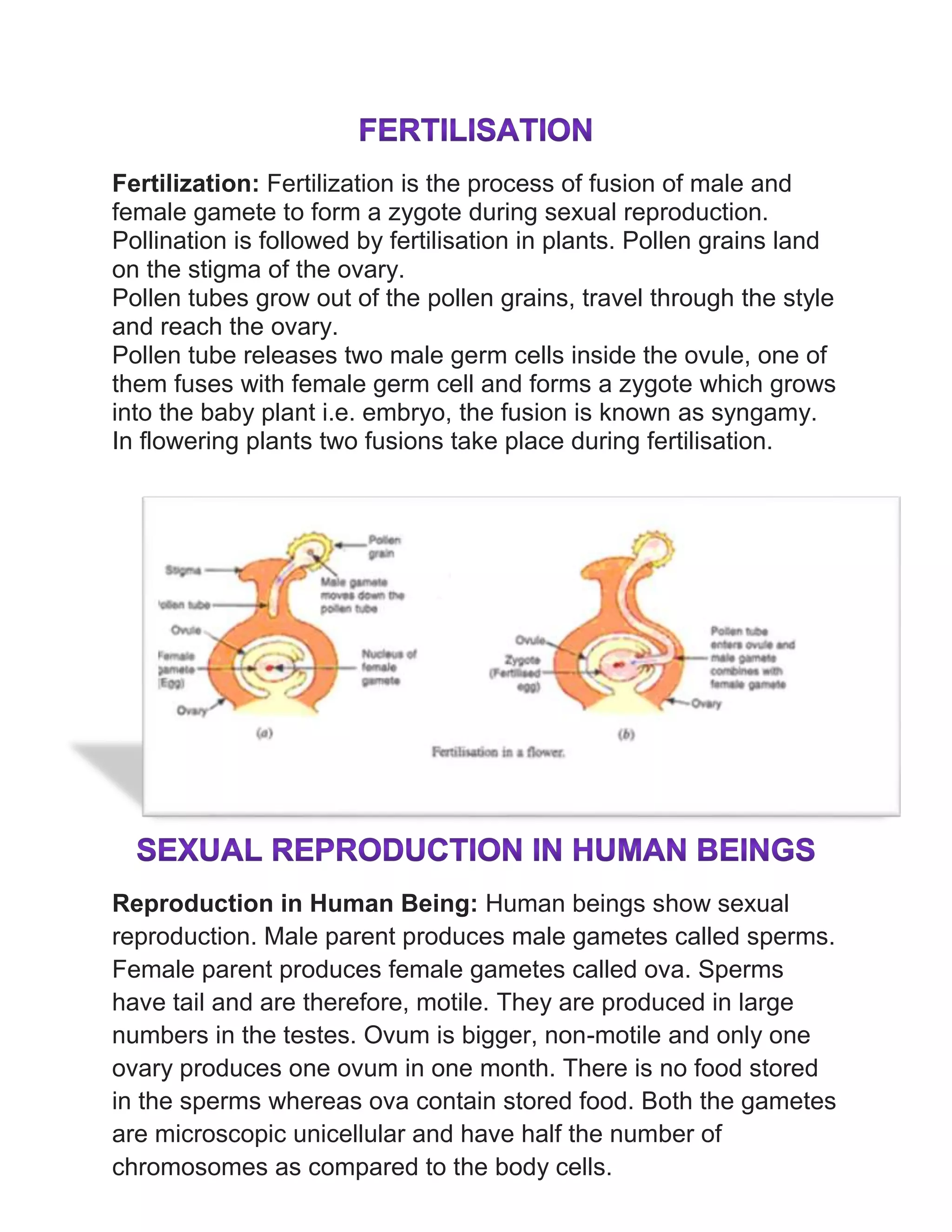 How do Organisms Reproduce Class X notes.docx