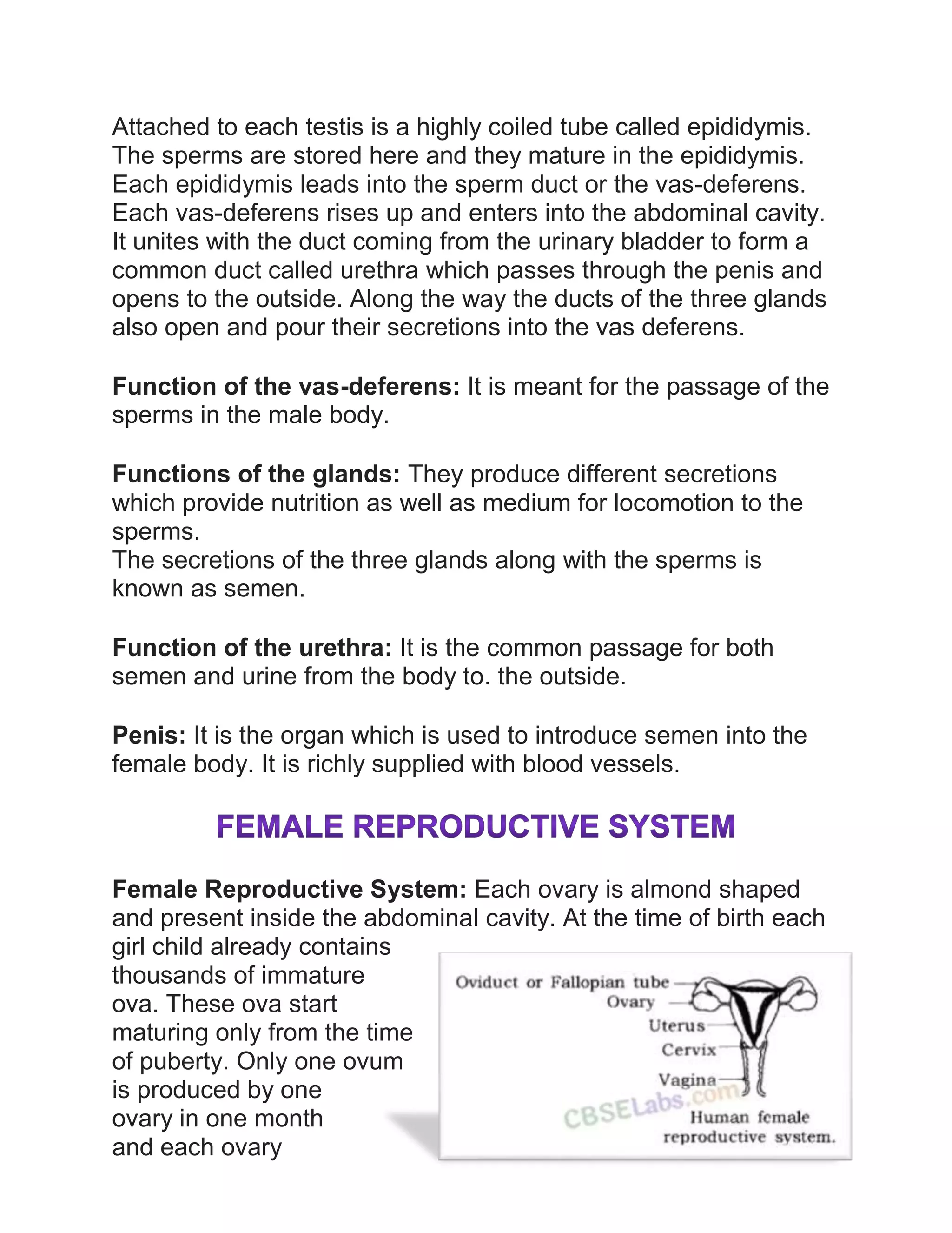 How do Organisms Reproduce Class X notes.docx