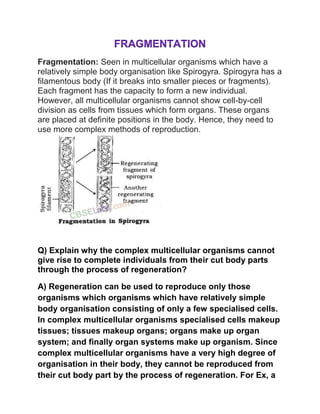How do Organisms Reproduce Class X notes.docx