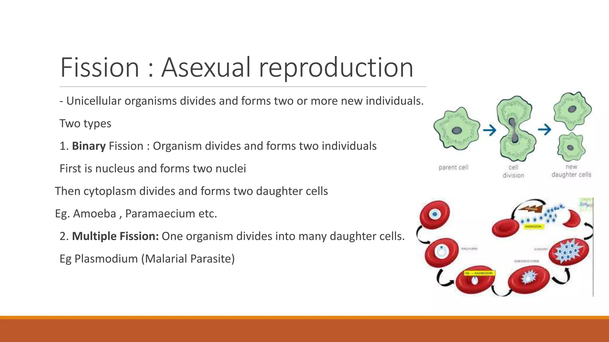 How do organisms reproduce ? | PPTX