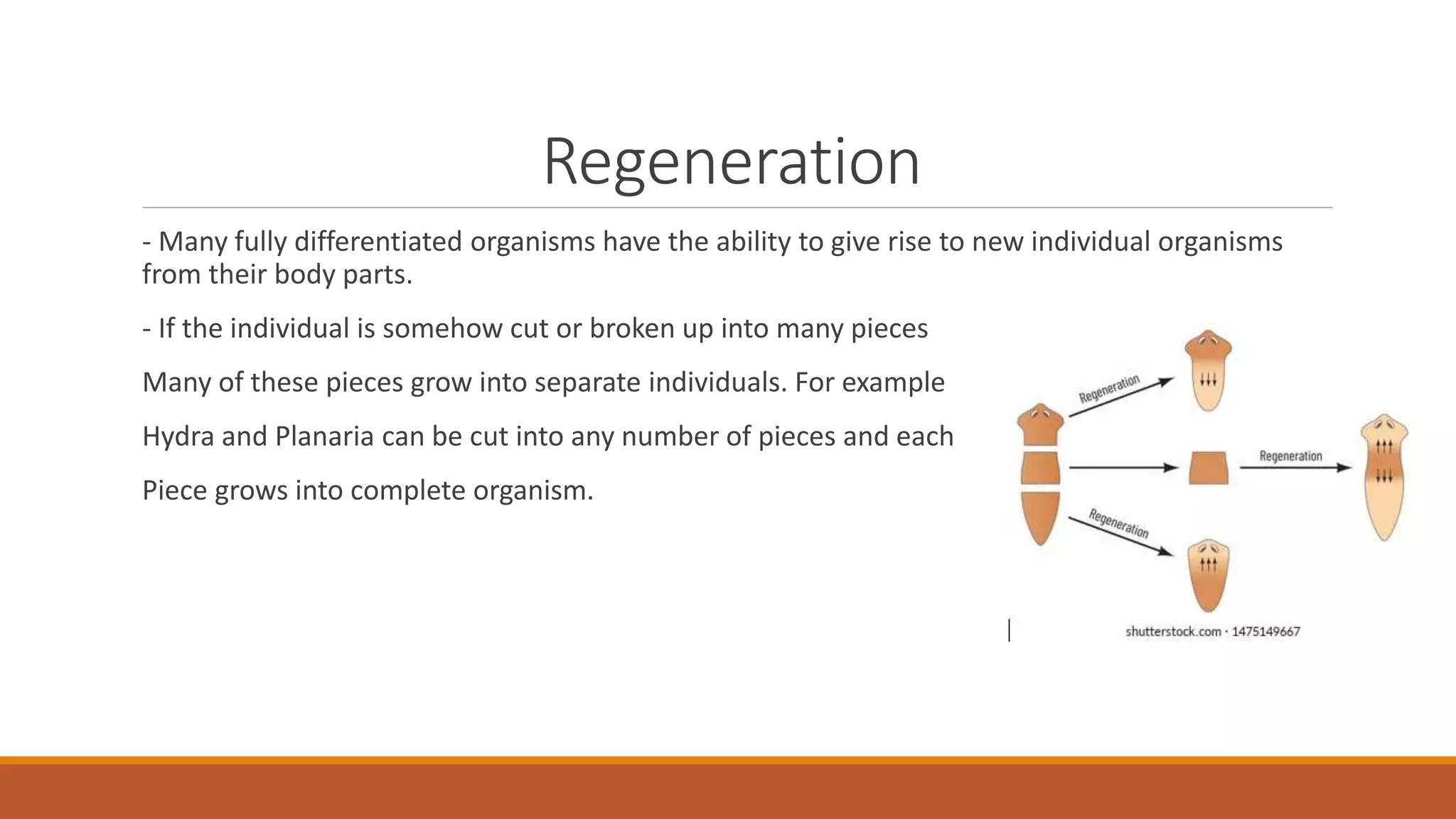 How do organisms reproduce ? | PPTX