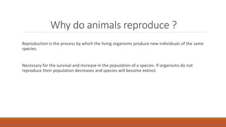 How do organisms reproduce ? | PPTX