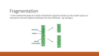 How do organisms reproduce ? | PPTX