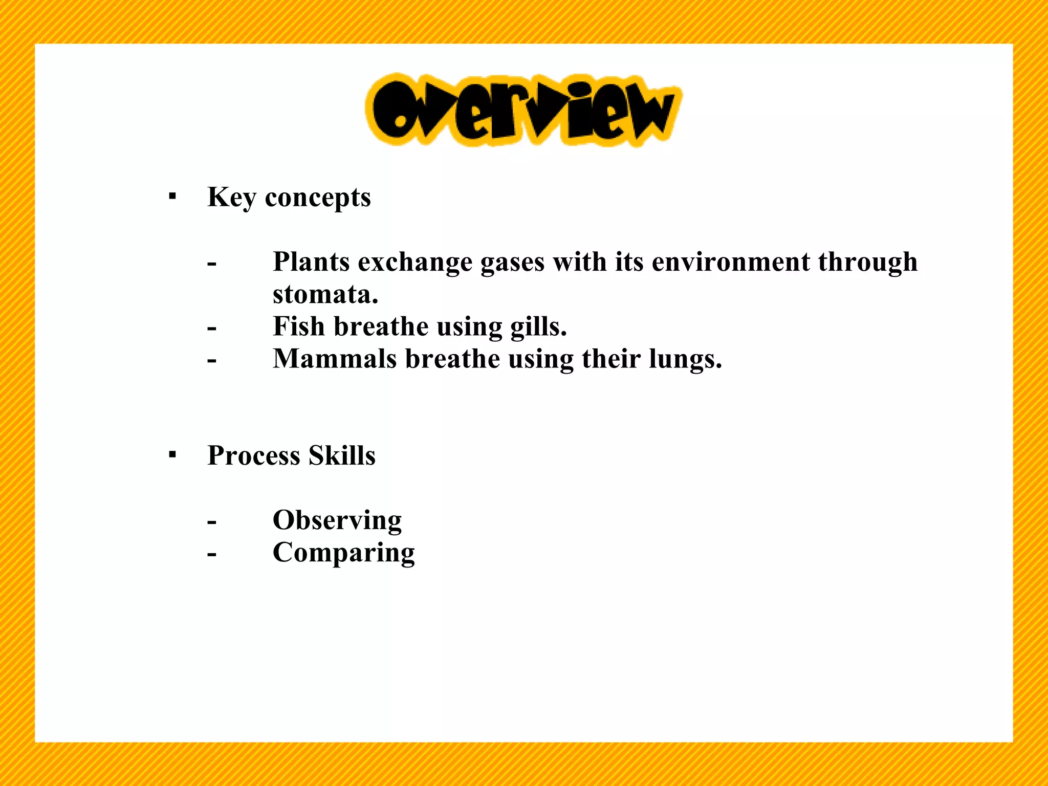 How do plants and animals breathe | PPT