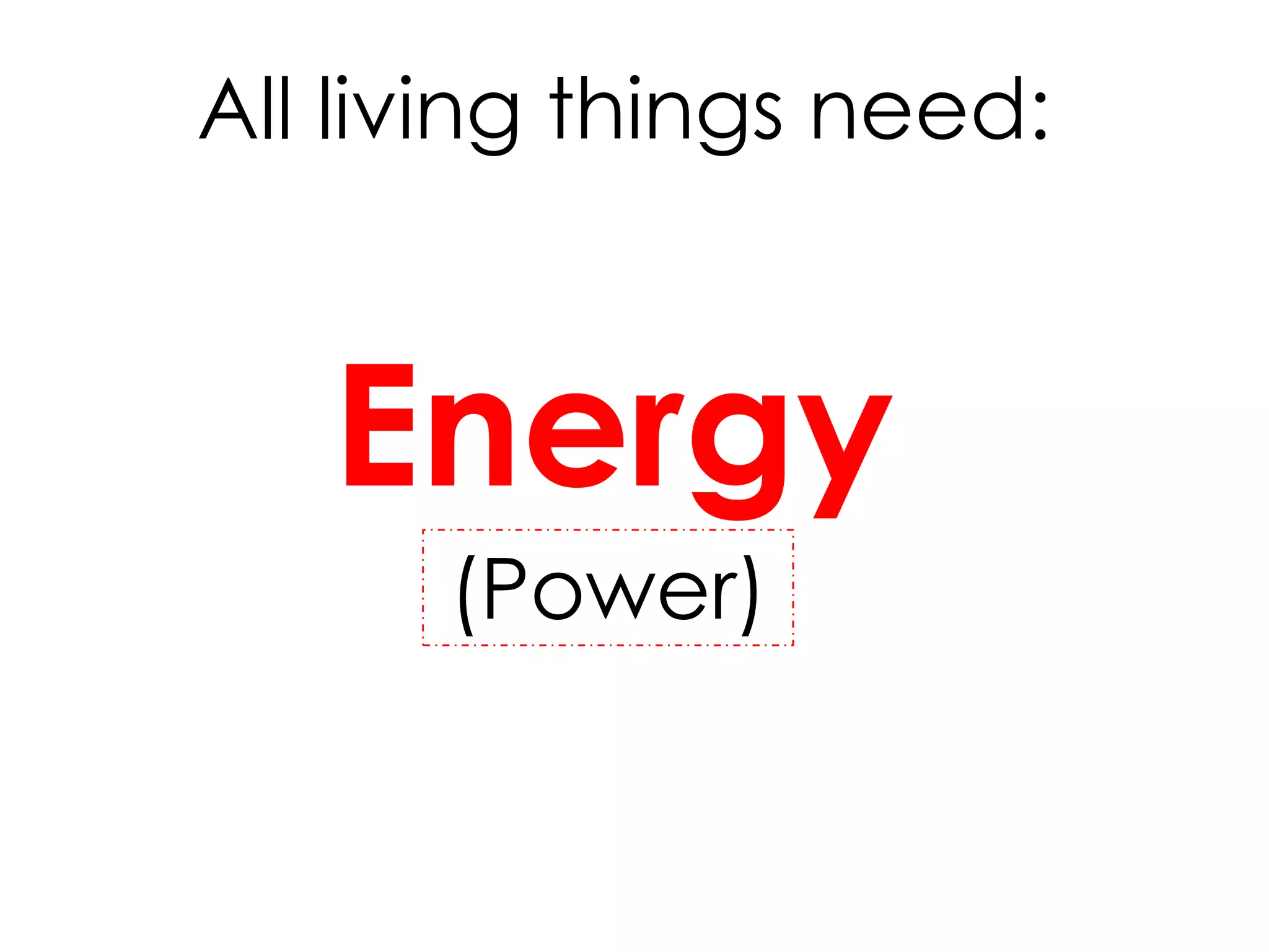 How do plants and animals get energy | PPTX