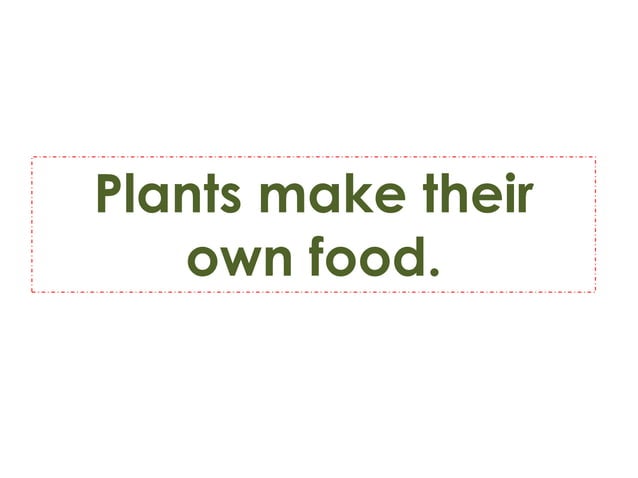 How do plants and animals get energy | PPTX | Food & Drink
