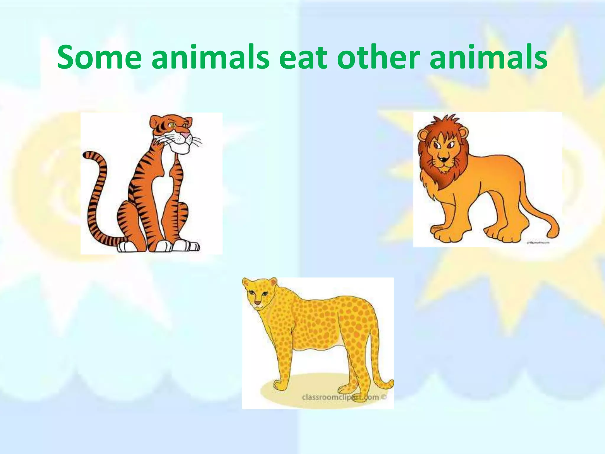 How do plants and animals survive in their habitat | PPTX