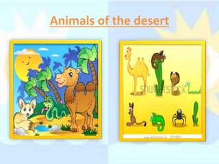 How do plants and animals survive in their habitat | PPTX