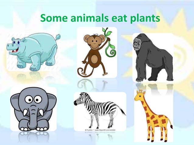 How do plants and animals survive in their habitat | PPTX | Geography ...