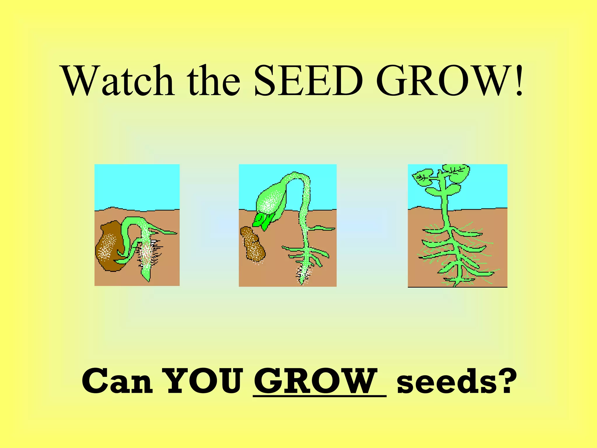 How do plants grow and change chap 2 | PPT