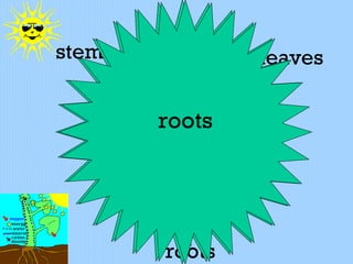 How do plants grow and change chap 2 | PPT