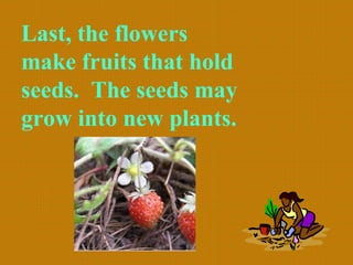 How do plants grow and change chap 2 | PPT
