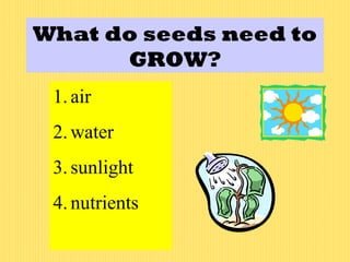 How do plants grow and change chap 2 | PPT