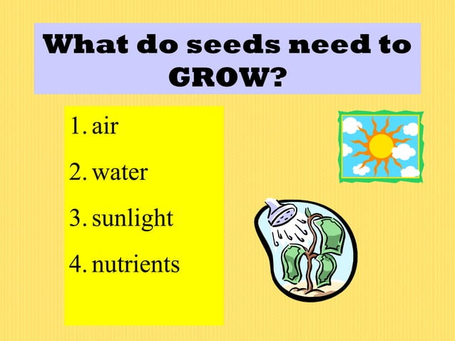 How do plants grow and change chap 2 | PPT | Gardening | Home & Garden