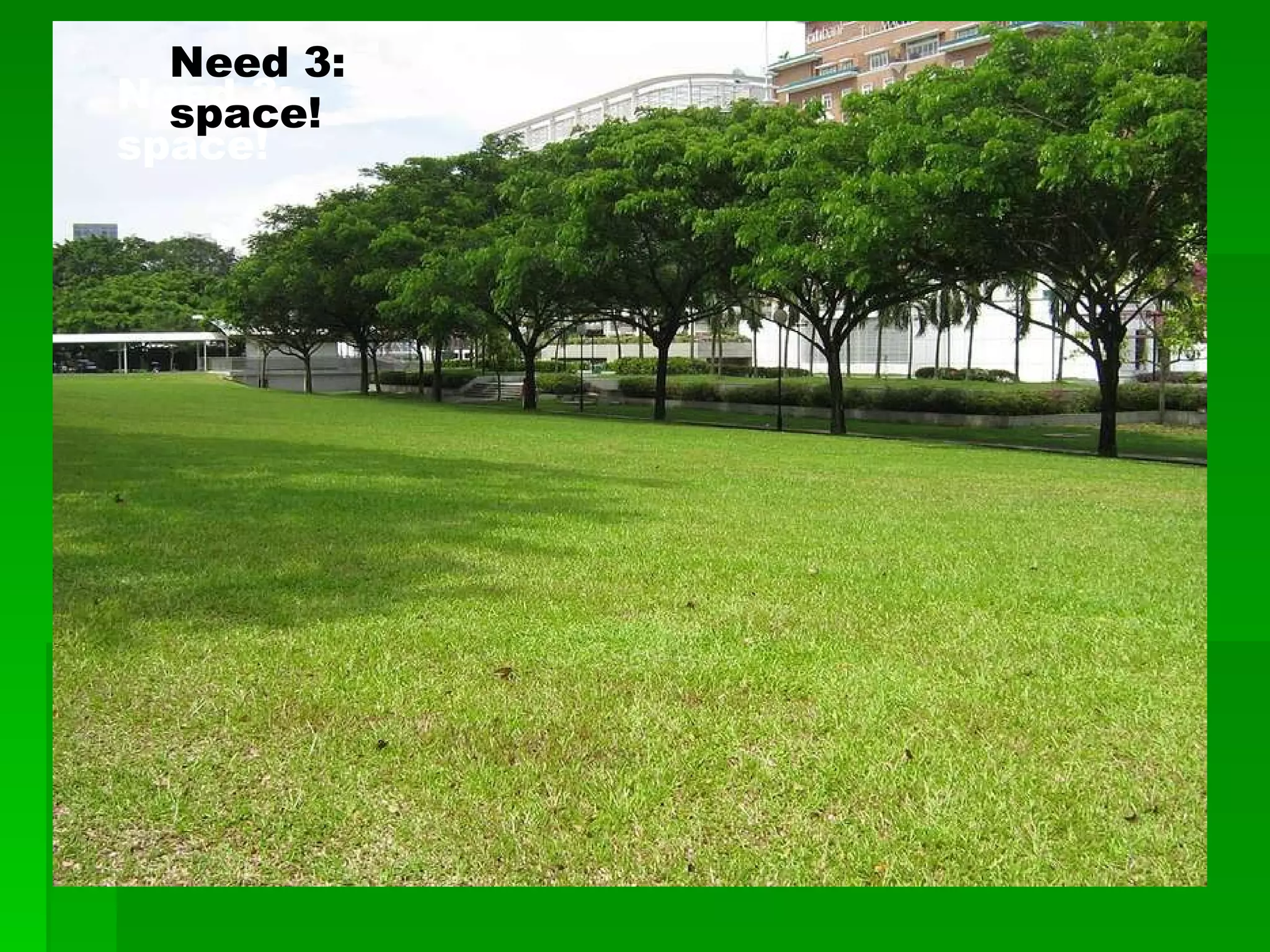 How do plants grow compressed | PPT