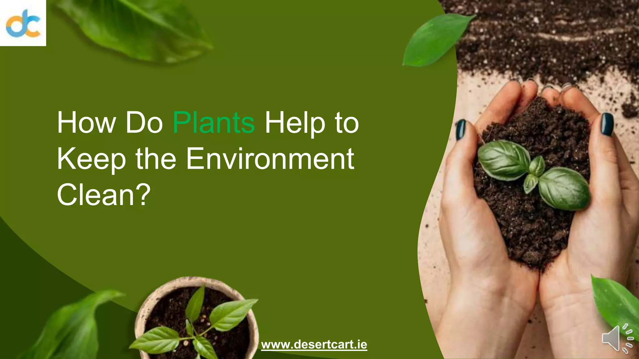 How Do Plants Help to Keep the Environment Clean.pptx | Gardening ...