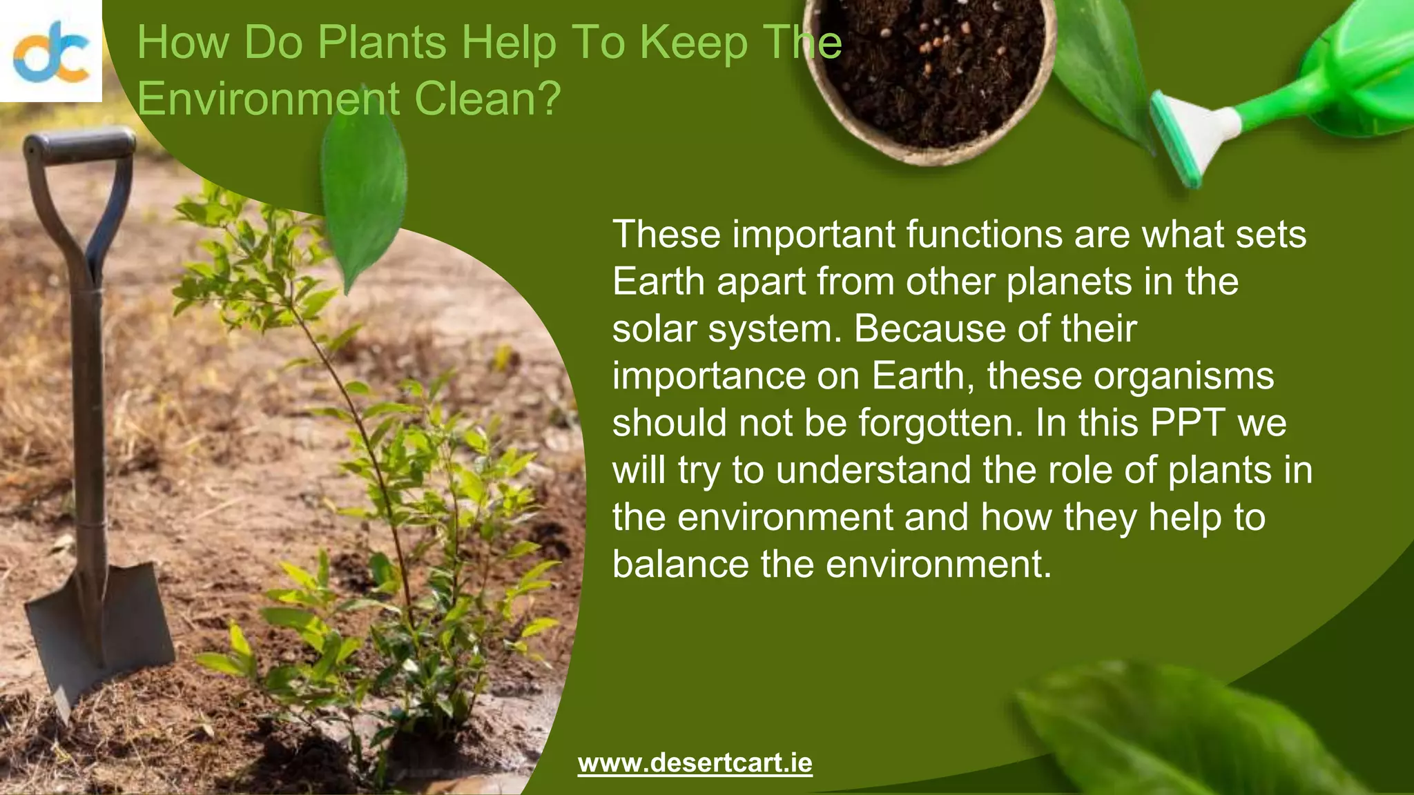 How Do Plants Help to Keep the Environment Clean.pptx | Gardening ...