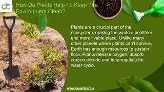 How Do Plants Help to Keep the Environment Clean.pptx | Gardening ...