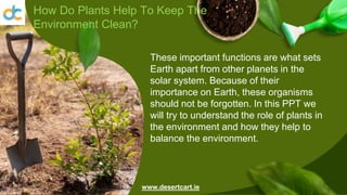 How Do Plants Help to Keep the Environment Clean.pptx | Gardening | Home & Garden