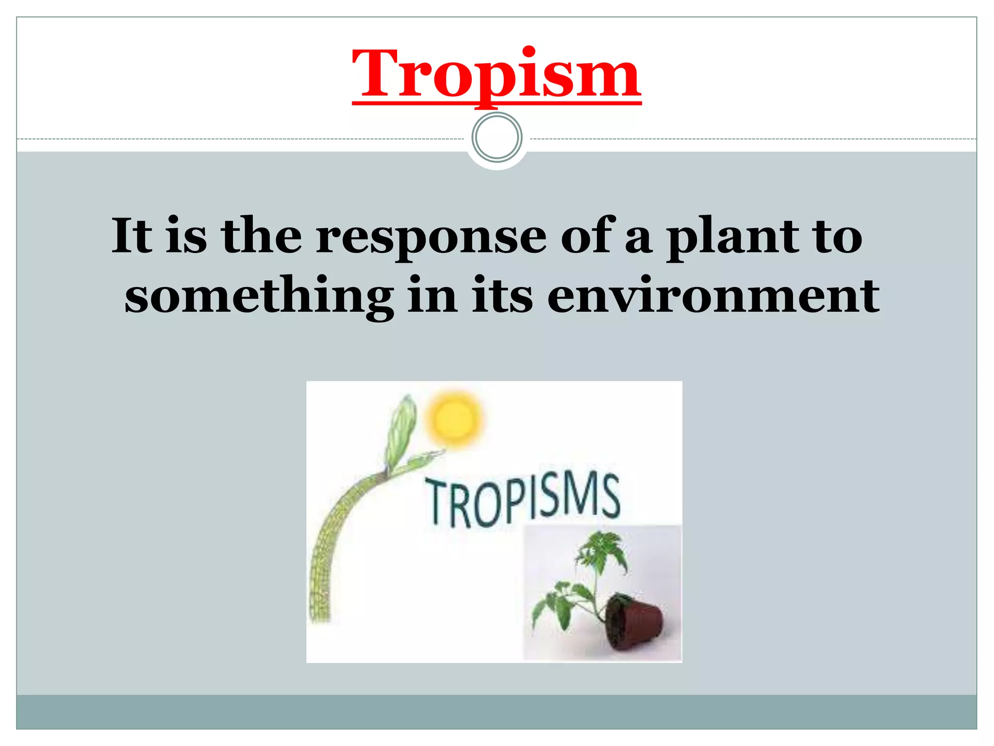 How do plants survive in the environment | PPTX