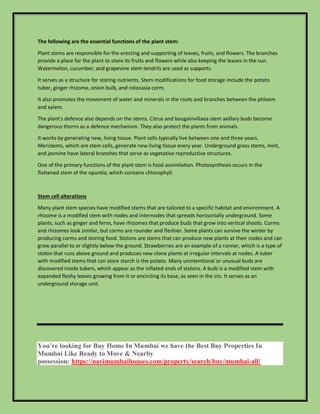 How do plant stems aid in growth.pdf