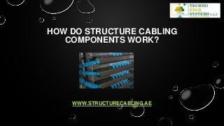How do Structure Cabling Components Work.pptx